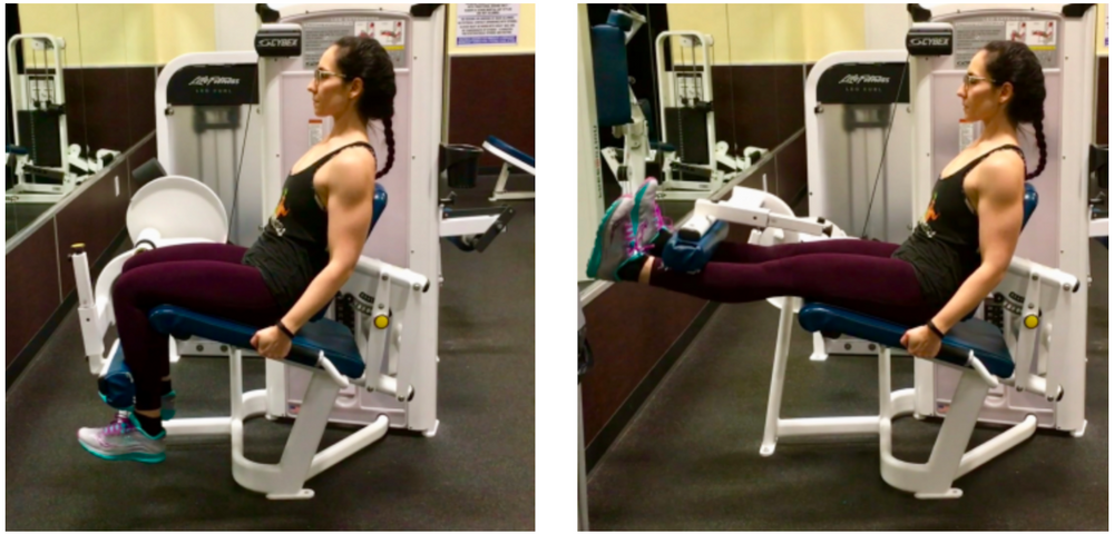 Quad-Focused Workout