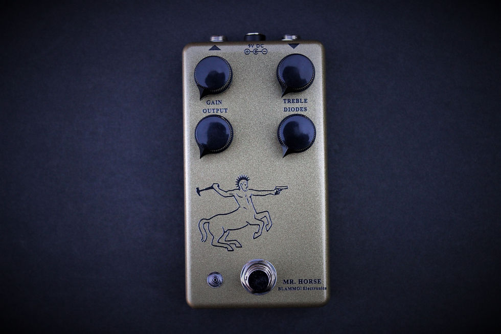 SHOP | BLAMMO! Electronics