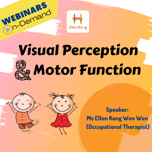 Visual Perception & Motor Function | Hatching Center