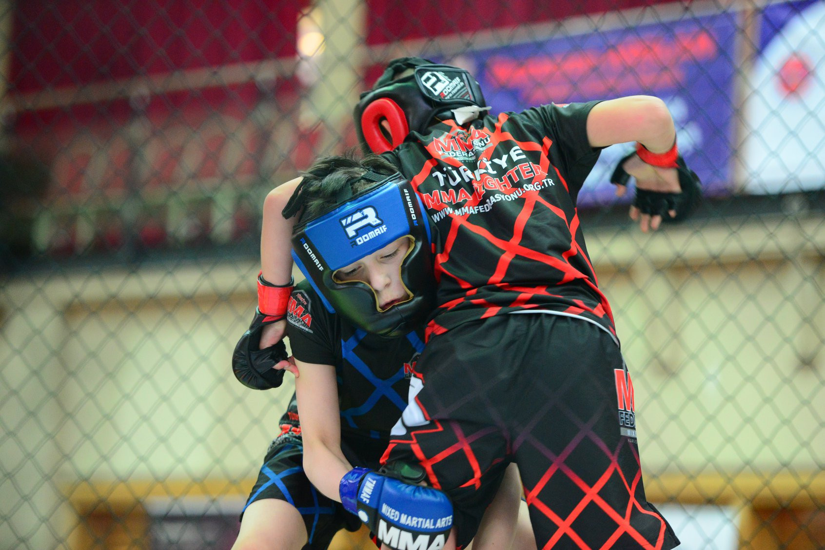 MMA Light | senjutsudojo