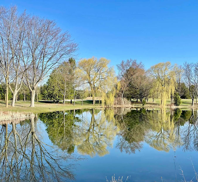 Falls Reserve Conservation Area | Maitland Trail Association