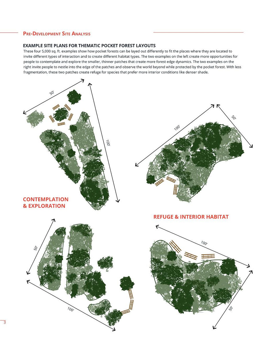 How to grow a Pocket Forest | Ayer Devens
