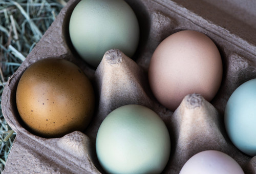 Organic Eggs | Riviera Farms
