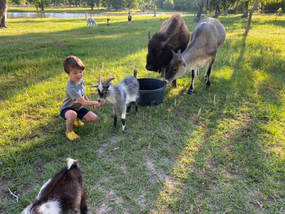 AirBnB | The Williams Ranch | Huntsville, TX