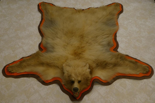 Cinnamon Phase Black Bear Rug | americannatresources