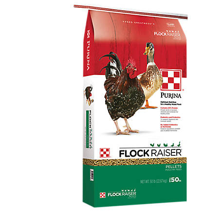 Purina® Flock Raiser® Pellets | Dave's Hay Barn