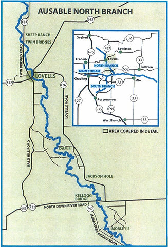 Au Sable North Branch