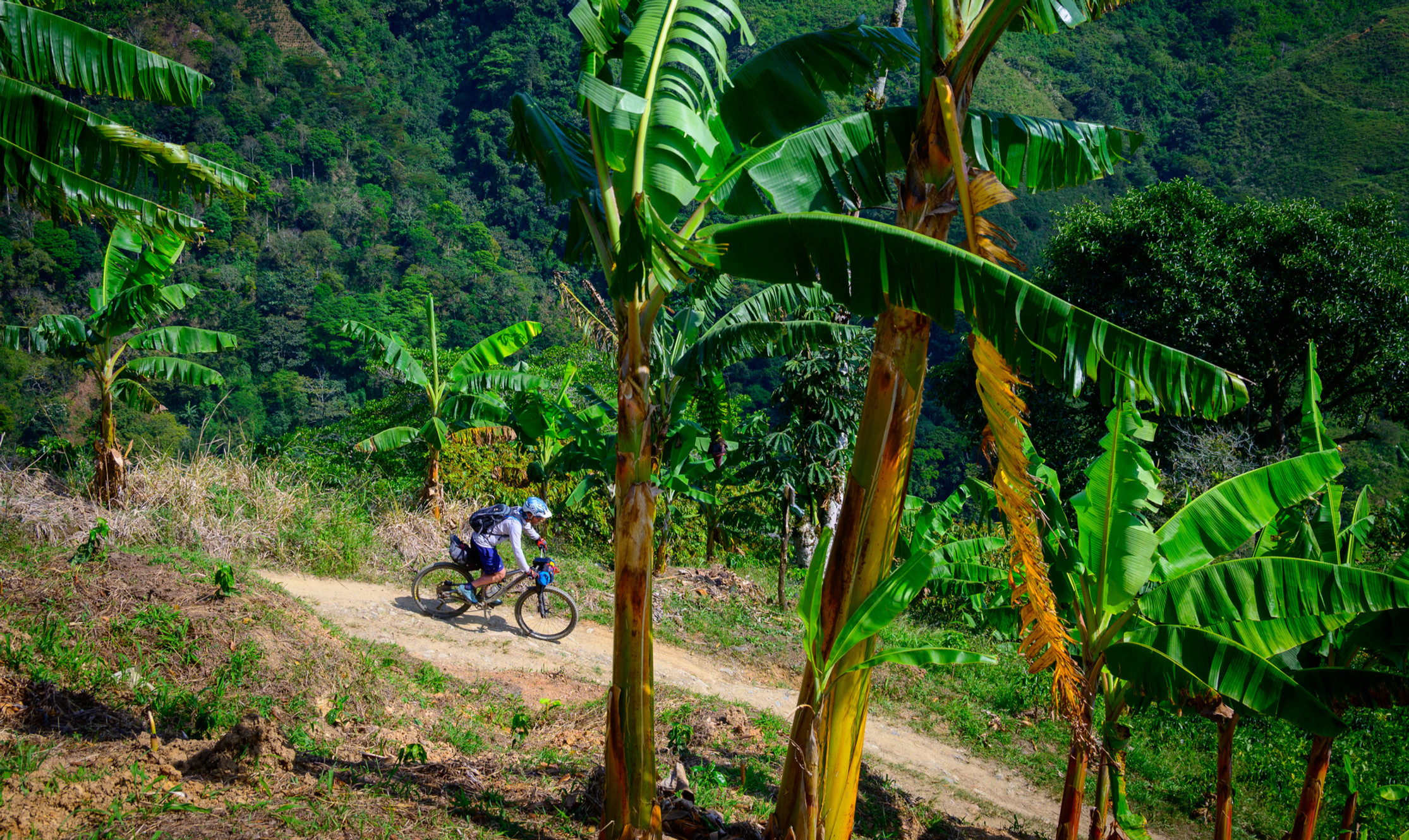 Trip Request Thank You | Colombia Bicycle Adventures