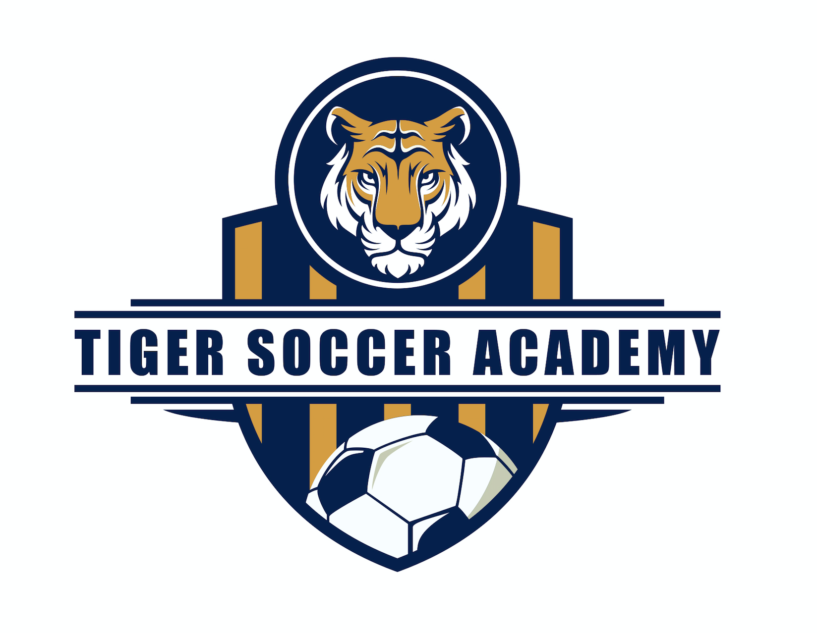 Tiger Soccer Academy