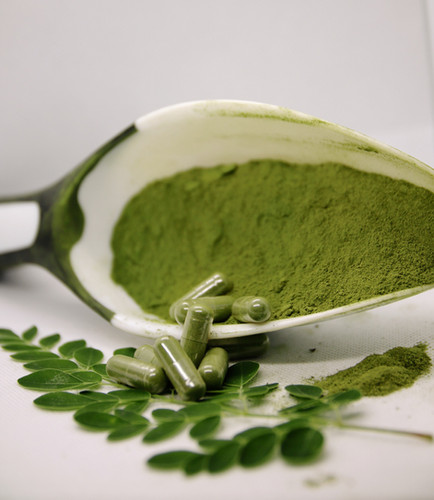 Moringa Oleifera | Capsules | MorMorMoringa LLC