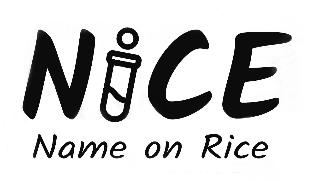 NiCE Name On Rice Contact Us nice-name-on-rice-contact-us