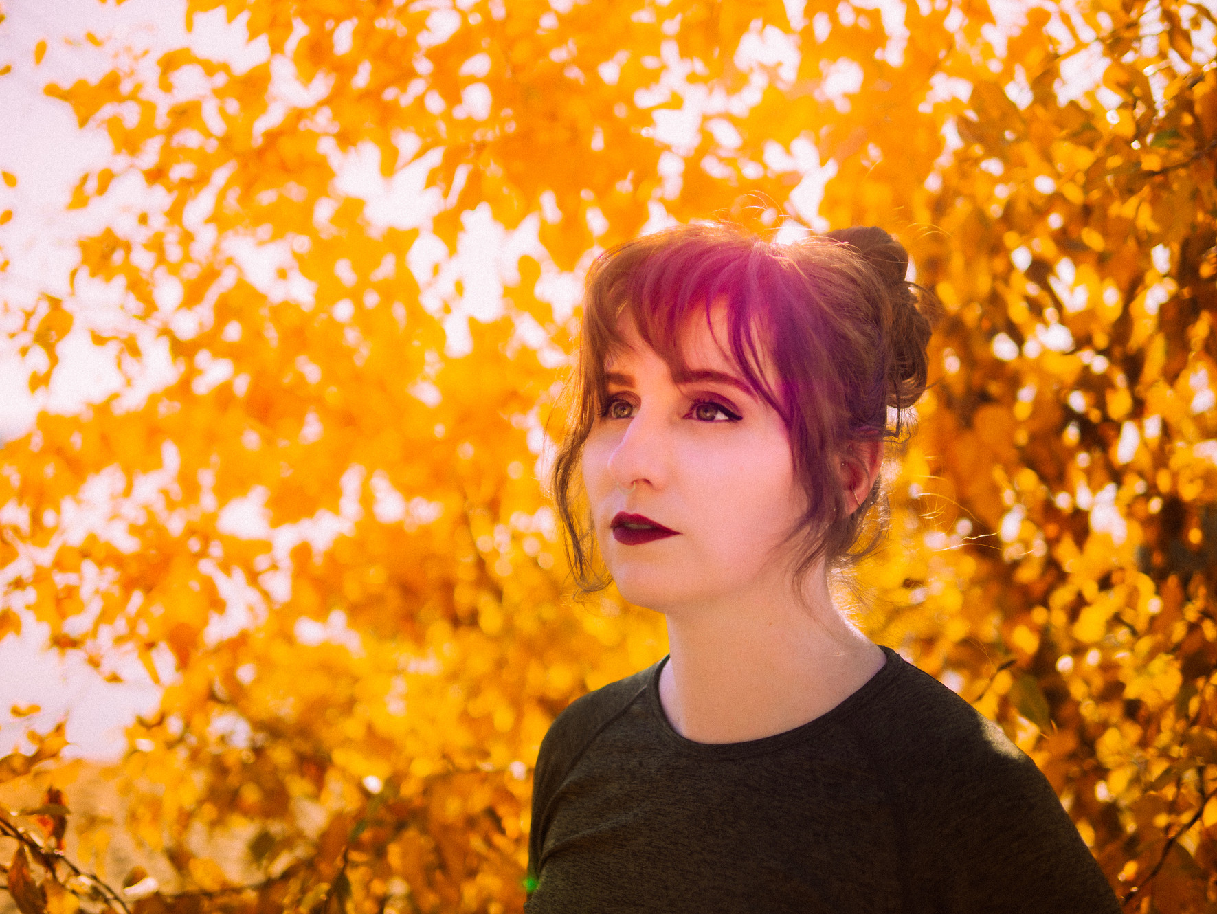 Northern California Photographer | Mewphotovideo