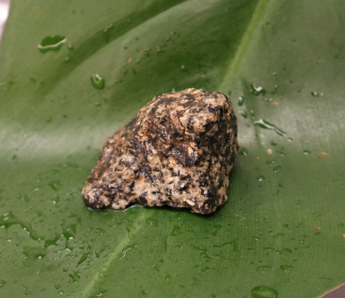 Diorite | AniMarie