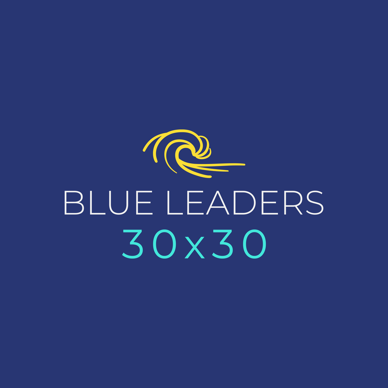 The Blue Leaders | For a Highly and Fully Protected Ocean