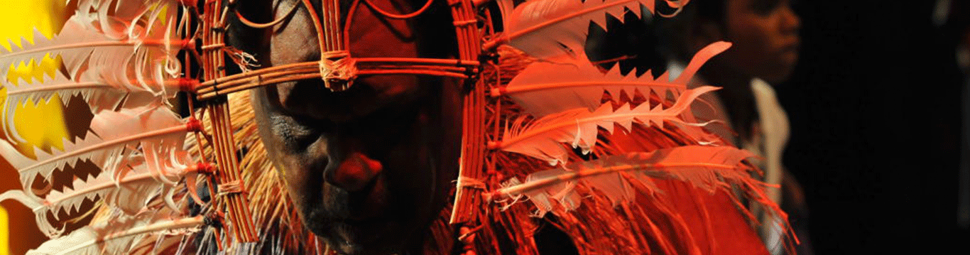 Tandanya National Aboriginal Cultural Institute | Adelaide