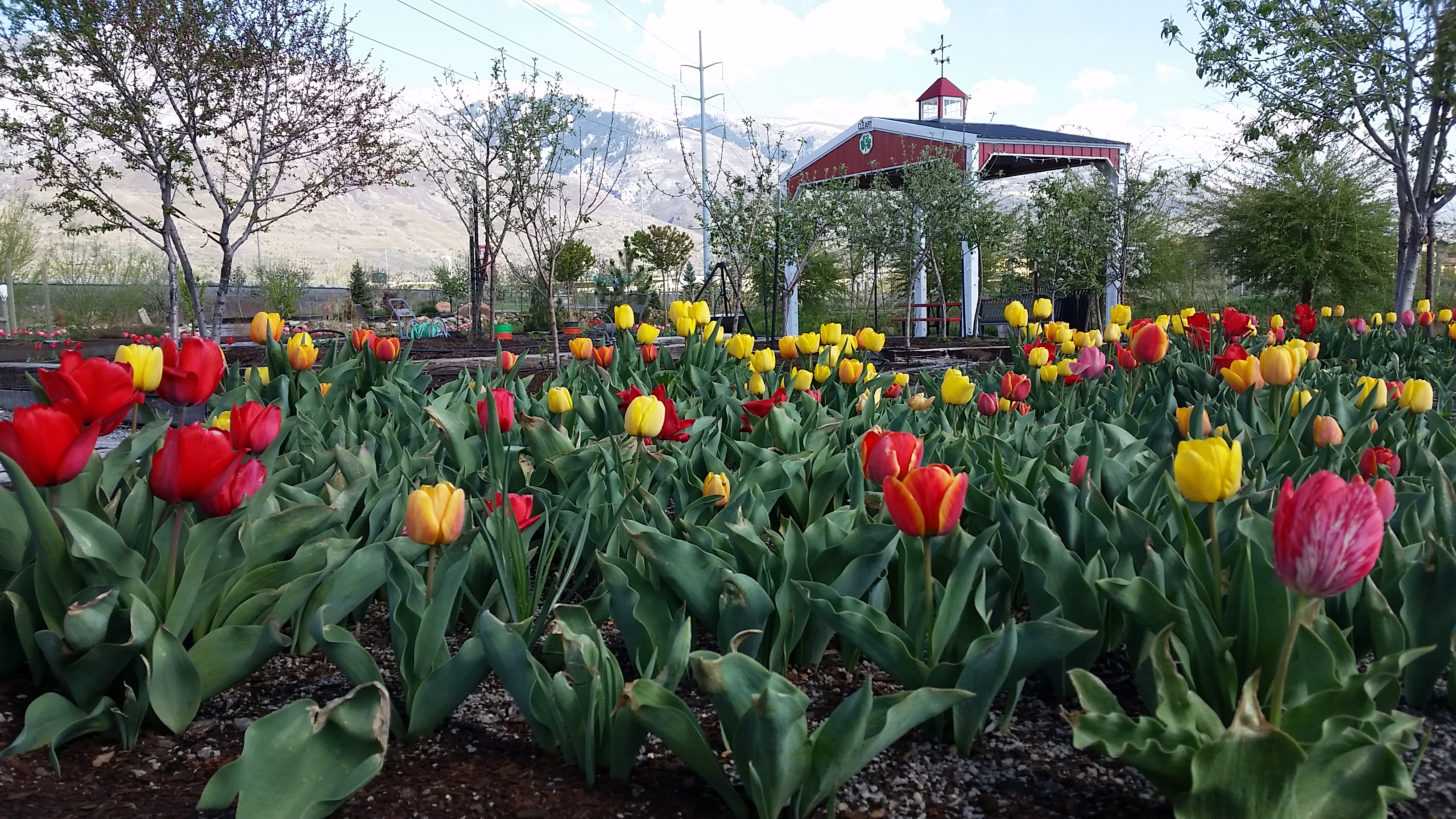 Rehabilitation | United States | Red Barn Academy Utah - non profit