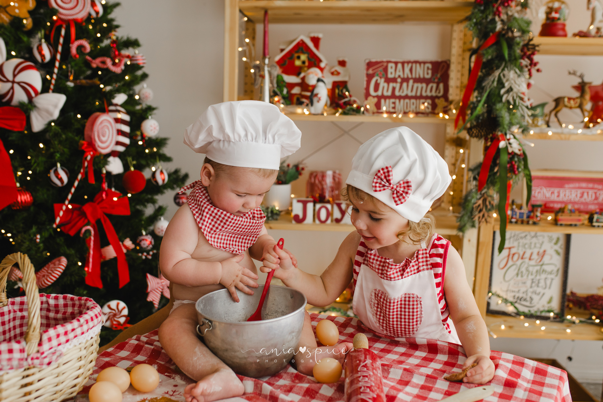 CHRISTMAS MINI | aniaspicephotography
