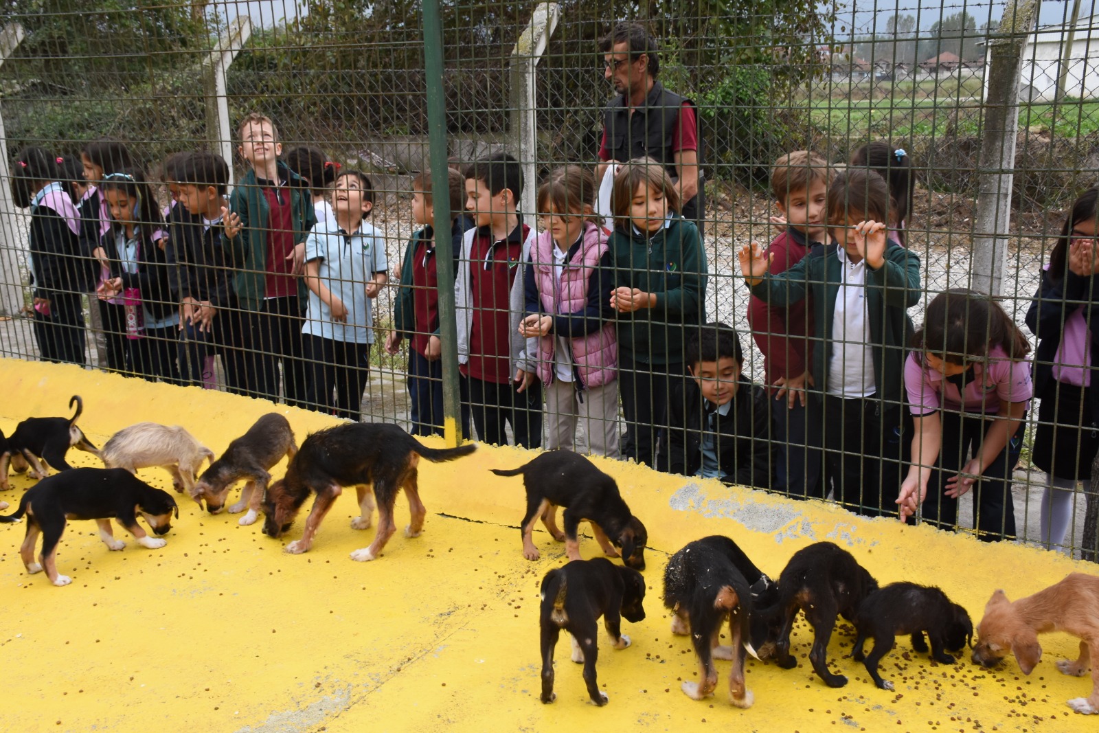 OKULUMUZDAN FOTOĞRAFLAR | Su Damlası Koleji