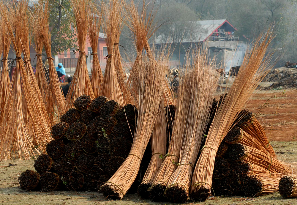 Photo Essay: Preparation of Wicker Sticks for Kangri – Span Foundation