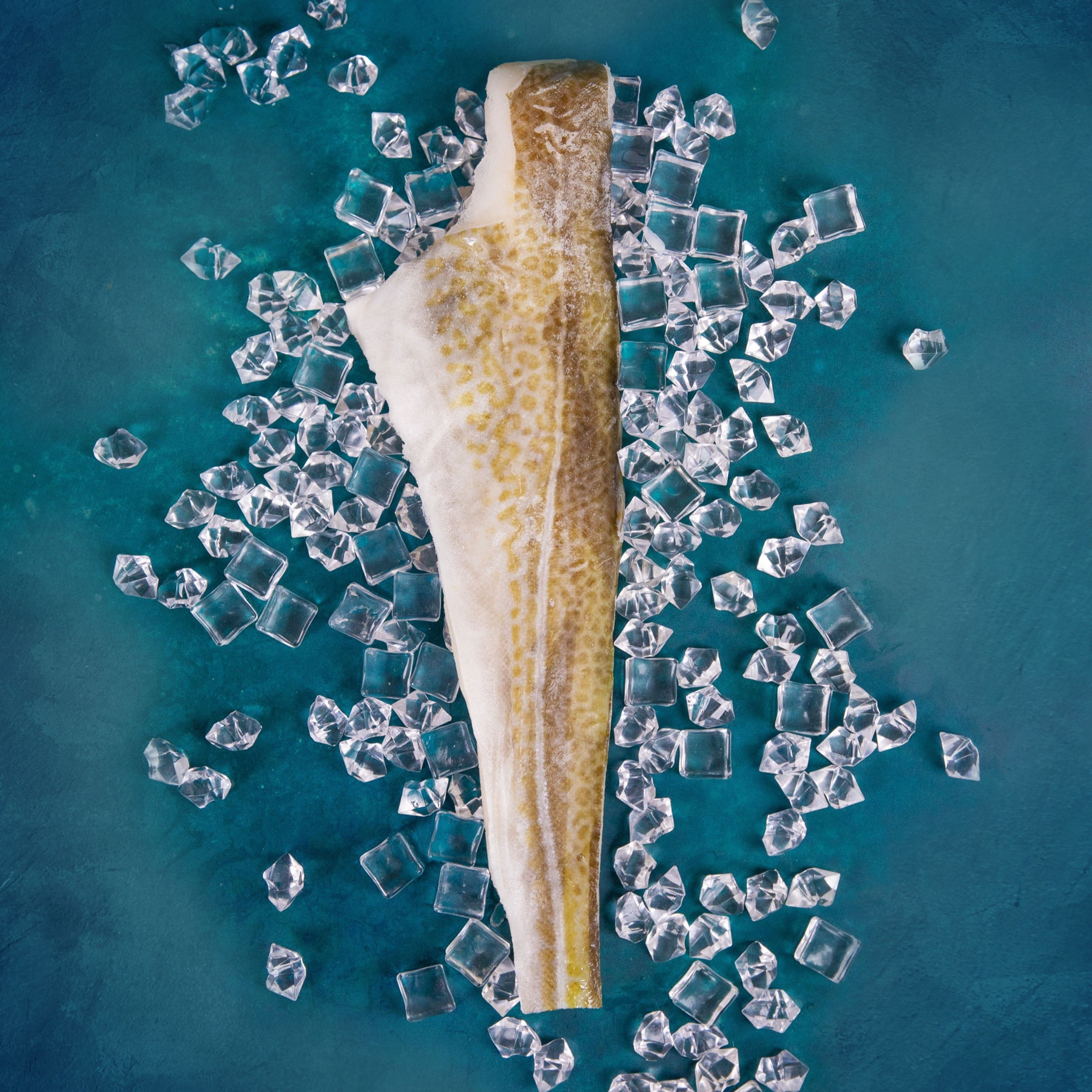 New Arrivals: Shatter Packs & New Fish Logo