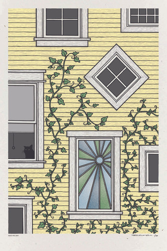 Windows | Pine Giant