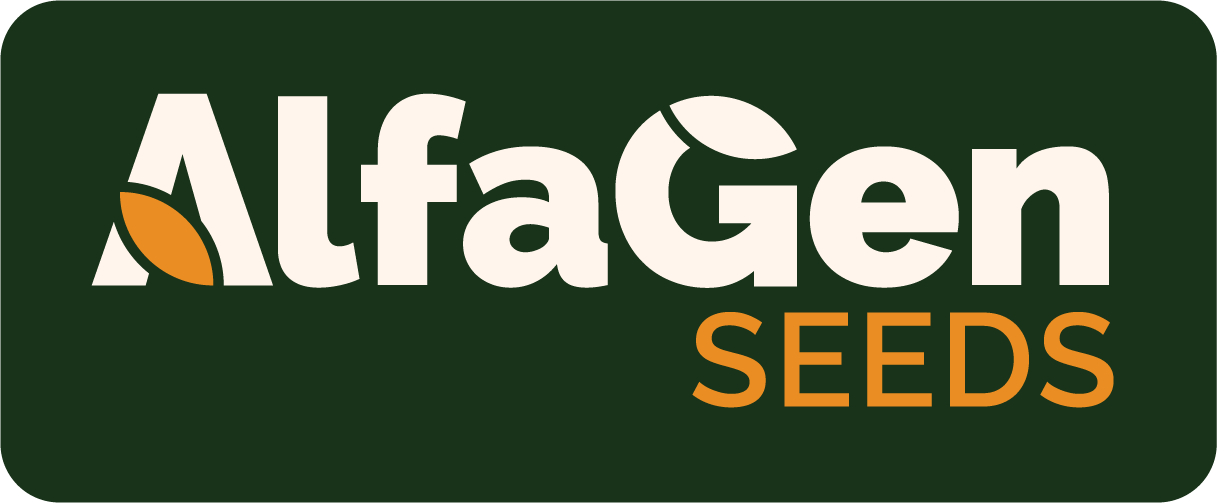 AlfaGen Seeds International