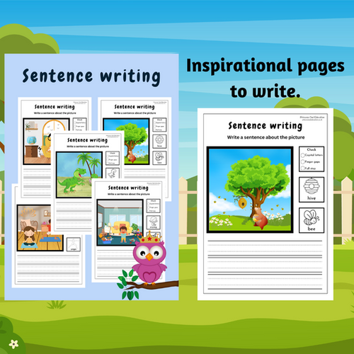 SENTENCE WRITING - 15 PAGES | Princess Owl