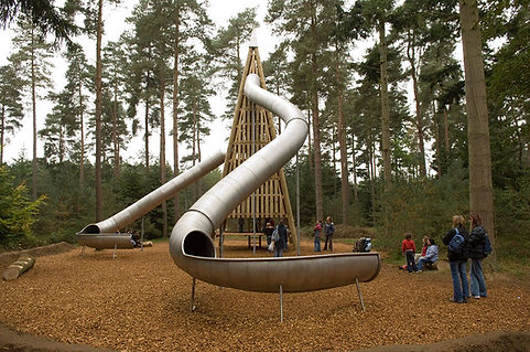 Thetford Forest walks | SlowNorfolk