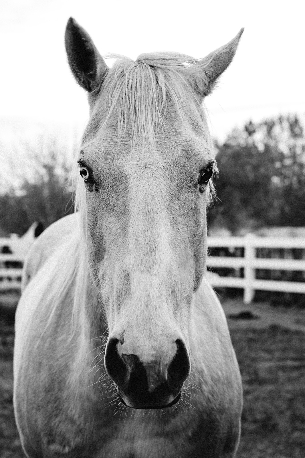 Moon Blossom Day Spa