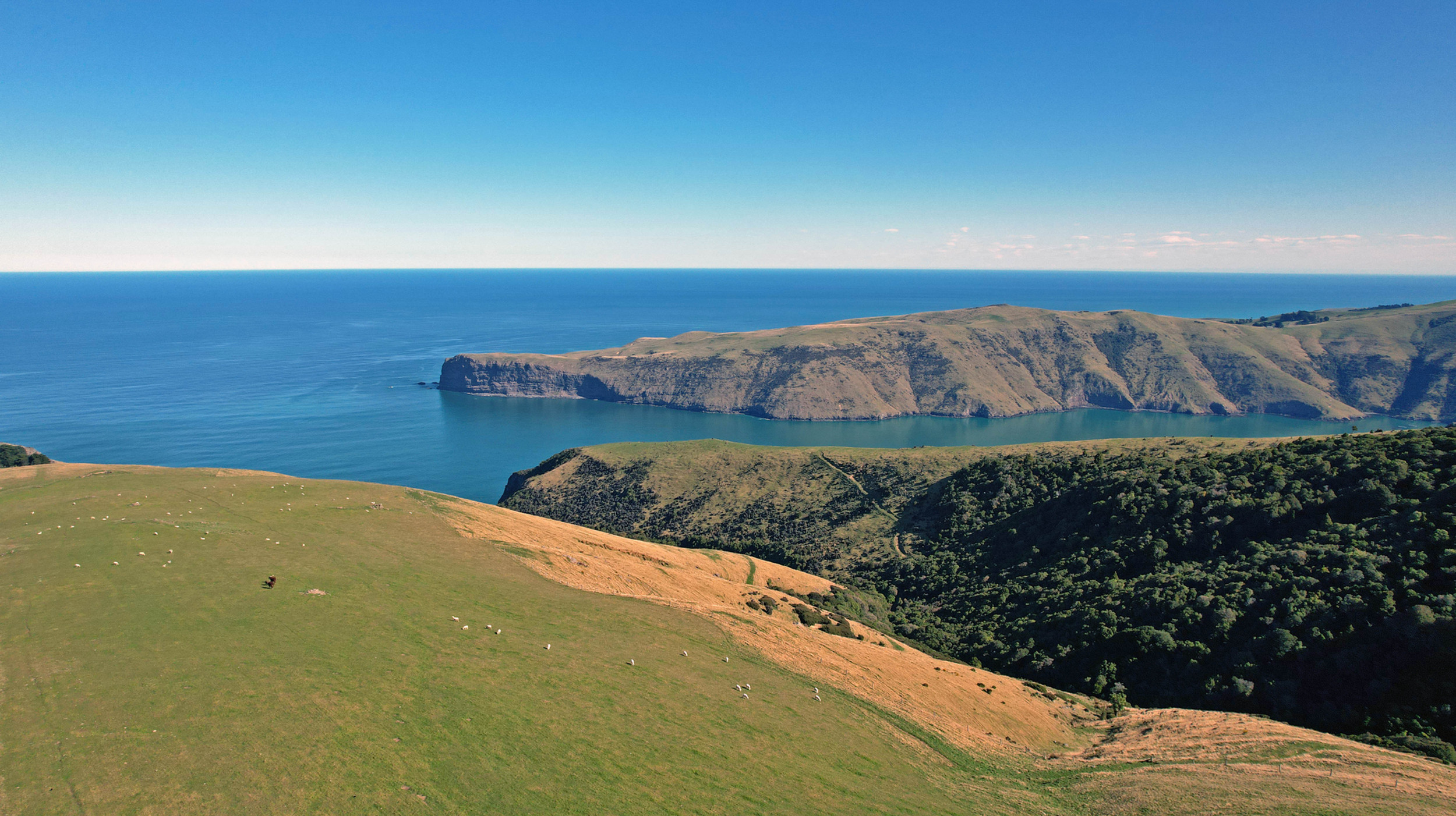 The Natural Wonders of Banks Peninsula