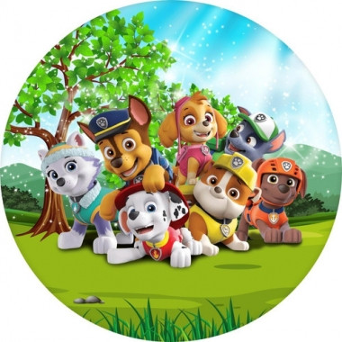 Paw Patrol Round Backdrop | Cali Backdrop
