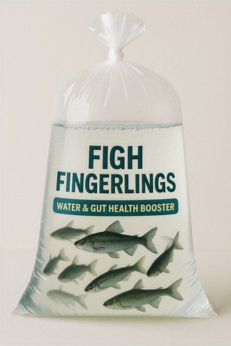 High-Quality Fry & Fingerlings – Catfish, Tilapia, Carp, Crabs & More ...
