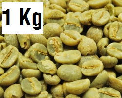 葉門摩卡瑪特莉Grade A - Yemen Mocha Matari Grade A | 楽食生活研究株式会社 - 世界精品珈琲