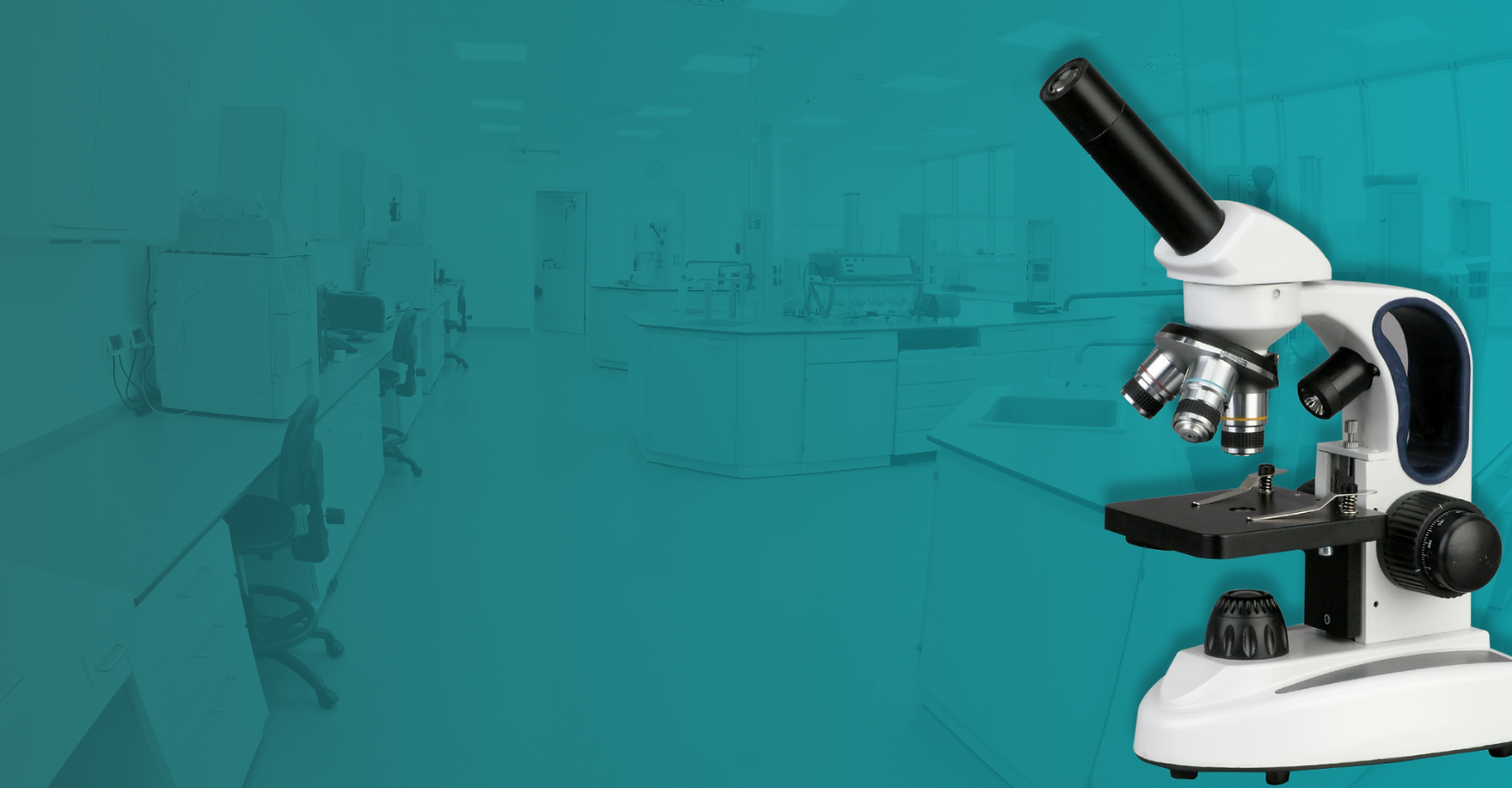 Nosotros | ASAP Testing