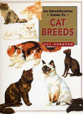 An Identification Guide To Cat Breeds | Book Nook Bookstore