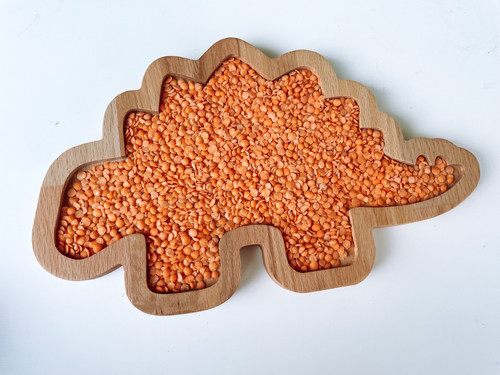 Stegosaurus Dinosaur Sensory Tray | Naturally Wood