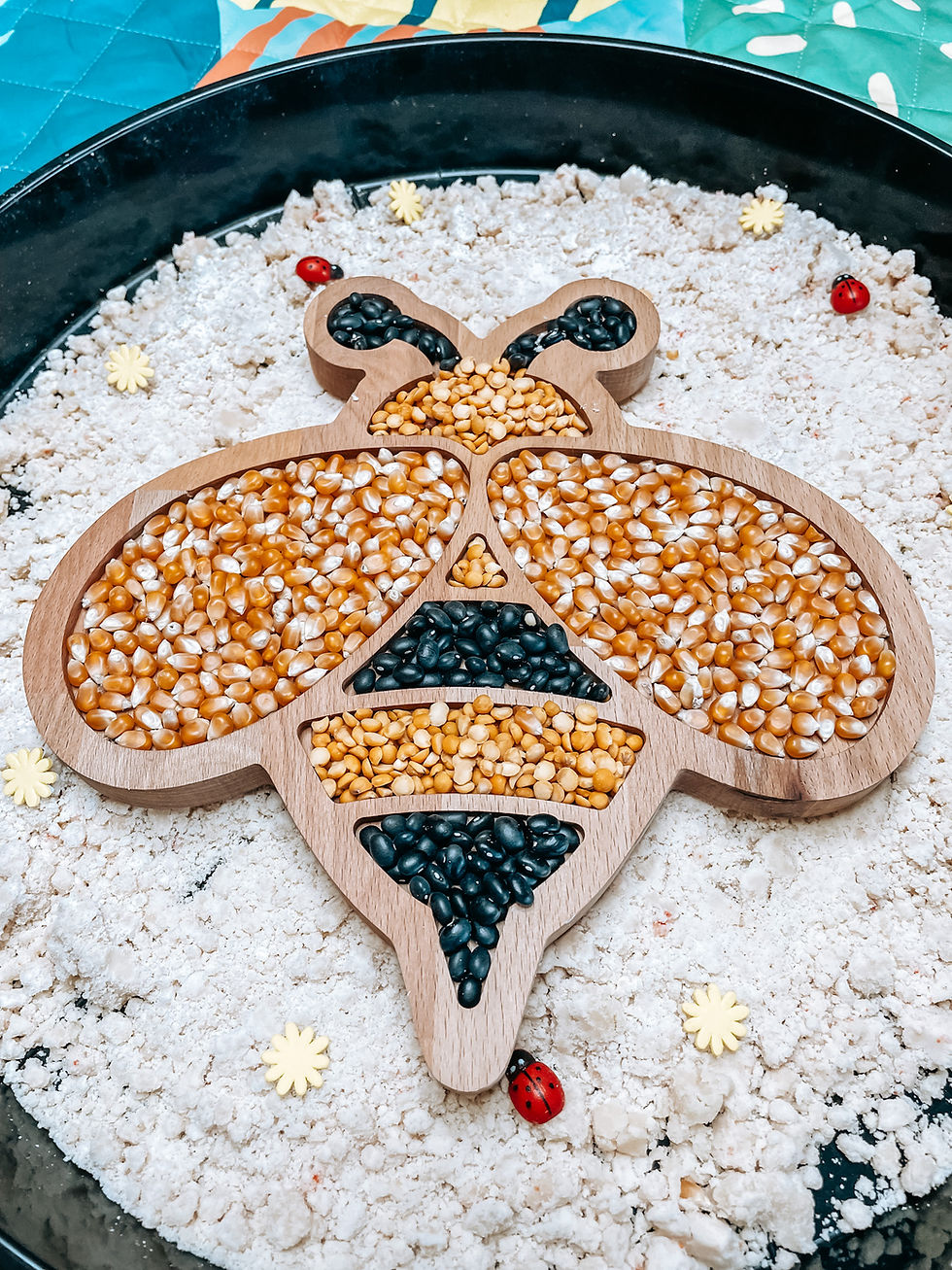 Sensory Trays | Naturally Wood