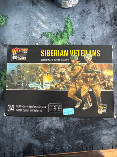 Bolt Action: Siberian Veterans Soviet Infantry | Sabre Games