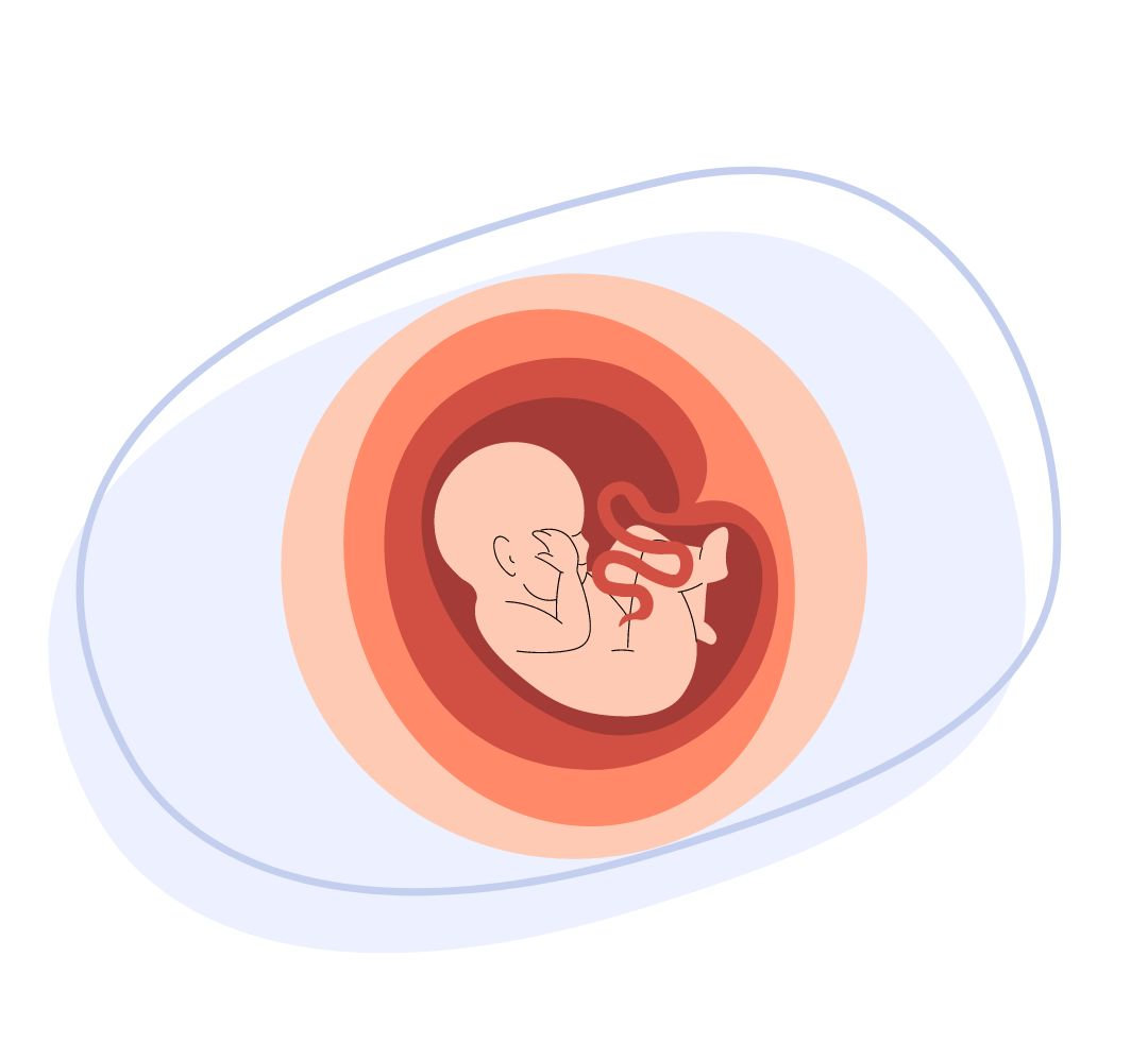 Pregnancy Beta HCG Quantitative