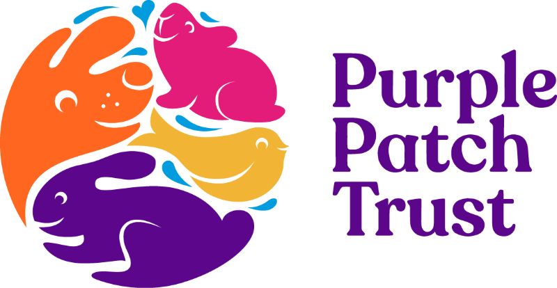 The Purple Patch Trust | Gallery