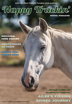 HOME | Happy Trackin' Magazine | Paddock Paradise Track System Magazine