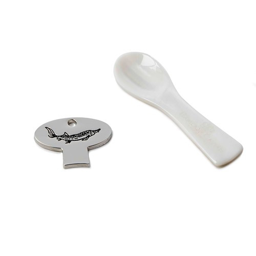 Caviar Key & Mother of Pearl Caviar Spoon | London Fine Foods