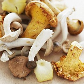 Fresh Mushroom Mix of the Day, 1kg | London Fine Foods
