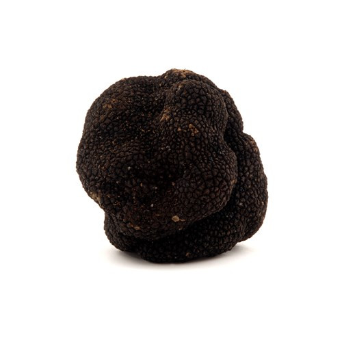 Fresh Australian Black Winter Truffle | London Fine Foods
