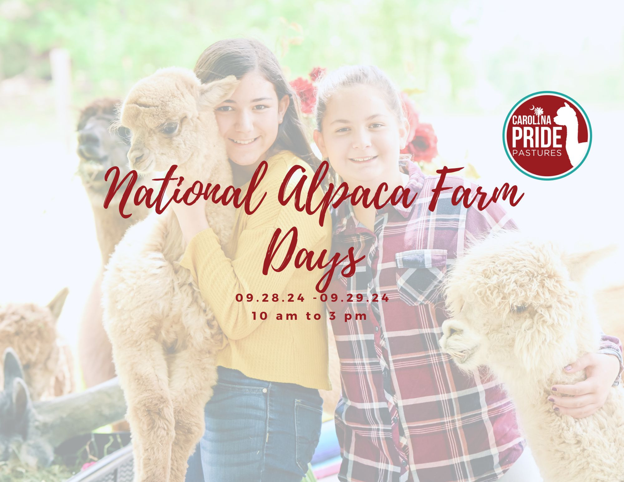 2024 National Alpaca Farm Days | Carolinapridepast