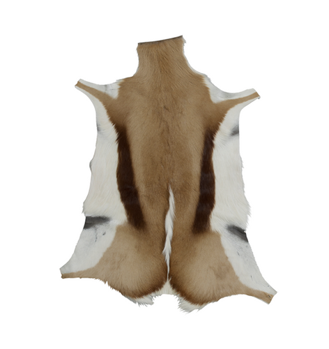 Springbok Hide - Elegant Natural Beauty | Woodheads