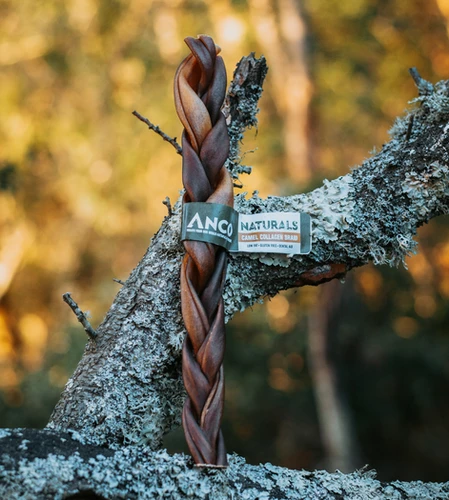 Camel Collagen Braid - Large | Dog Stop
