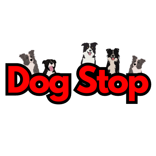 Dog Stop | Supplier of Dog Accessories, Treats and Chews