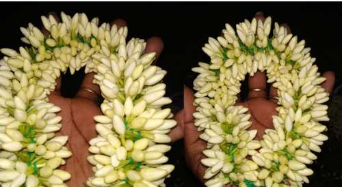 Mullai String | Malarcharam