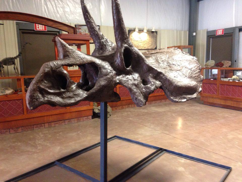 The Museum | monatsci